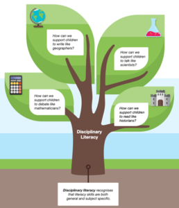 Disciplinary Literacy | Bolton Learning Together website - Bolton ...